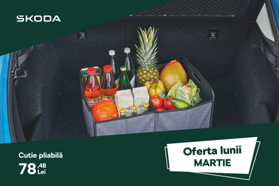 Cybernet Auto Center SRL | Oferta lunii Martie - Škoda